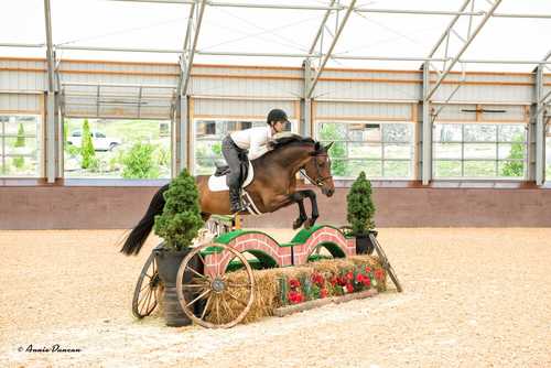 Gallery | WeCover Custom Fabric Riding Arenas