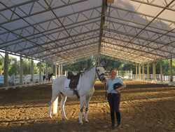 Gallery | WeCover Custom Fabric Riding Arenas